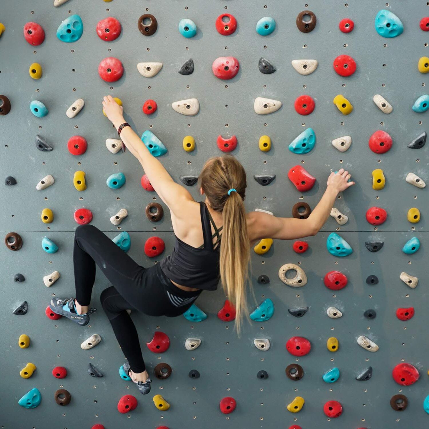 Climbing Lab - Excel Physical Therapy